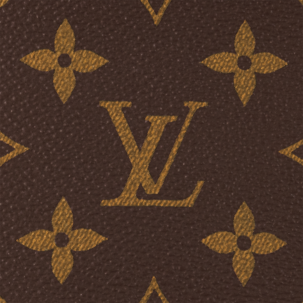 Cartera Ivy con cadena Lona Monogram - Carteras y pequeña marroquinería M81911 | LOUIS VUITTON